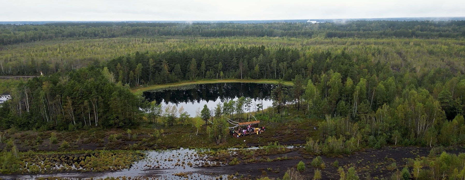 Medema purvs un mežs | Mārupe